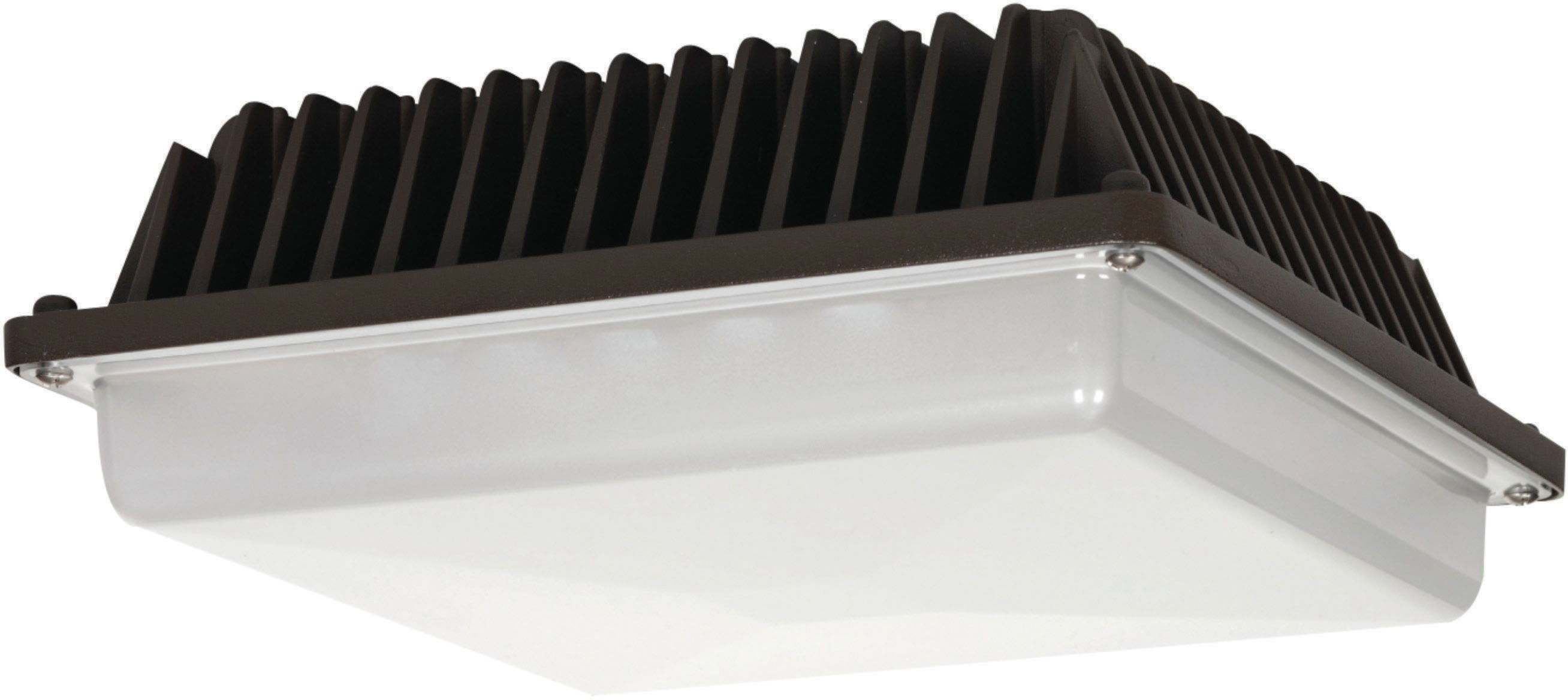 65-073 LED CANOPY FIXTURE 33W